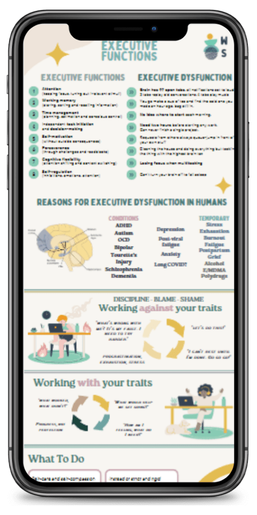 What is executive dysfunction? - Weirdly Successful